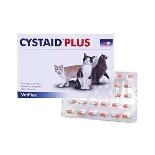 Jual Cystaid Plus CystaidPlus Kapsul Obat Gangguan Saluran Kencing ...