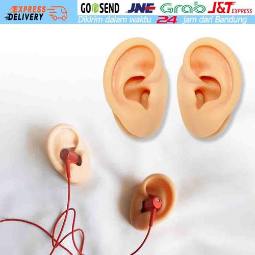 Jual Alat Bantu Mengajar Model Telinga Manusia Bahan Silikon Untuk ...