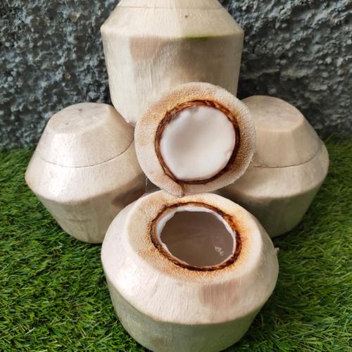 Jual Degan Jelly Original (1 buah) - Kota Semarang - Premium mart ...