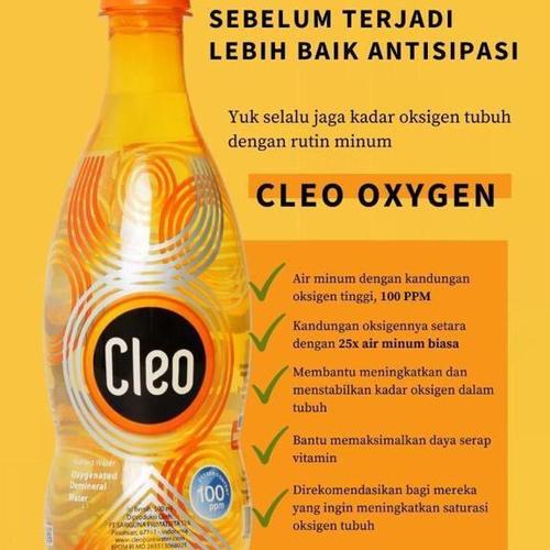 Jual Cleo Oxygen water / Cleo oksigen water 500ML - 1 Dos 24 Botol ...
