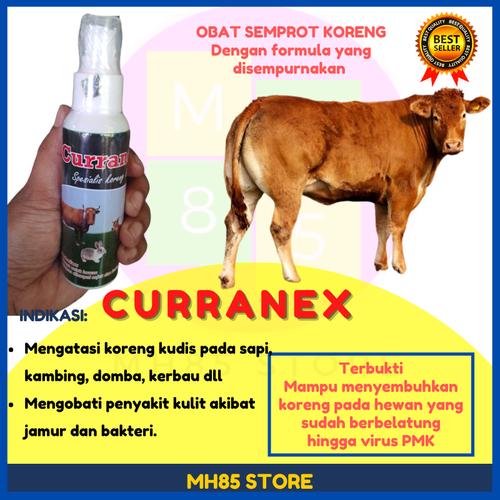 Jual OBAT SCABIES GUDIK EKSIM GATAL KORENG SAPI KAMBING DOMBA KUDA ...