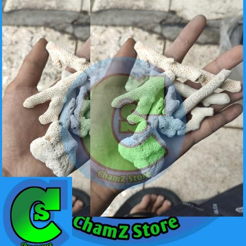 Jual karang jahe filter aquarium 1 kg / Batu karang jahe 1kg / Karang jahe - Grade A 1kg ...