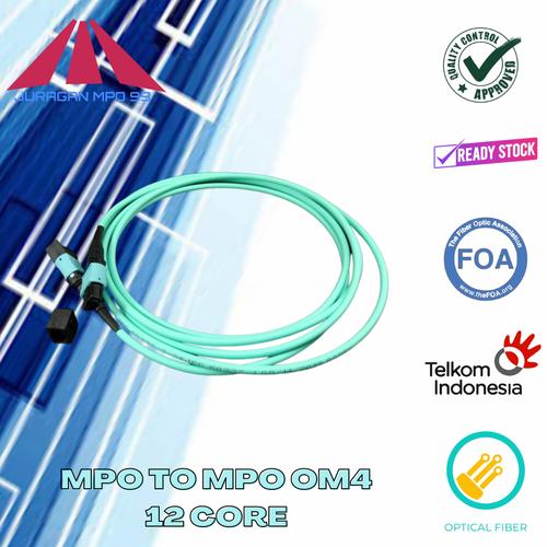 Jual Mpo to Mpo Om4 12 Core Female Type B 3 Meter SR4 100G LSZH - Kota ...