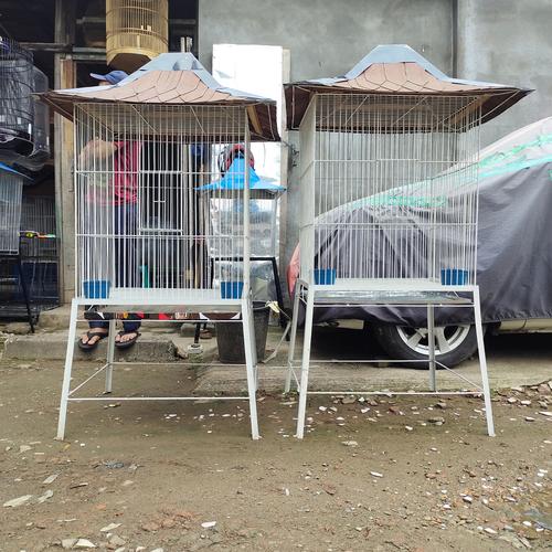 Jual sangkar burung beo,jalak,nuri,ayam dll,besi kotak atap sirap ...