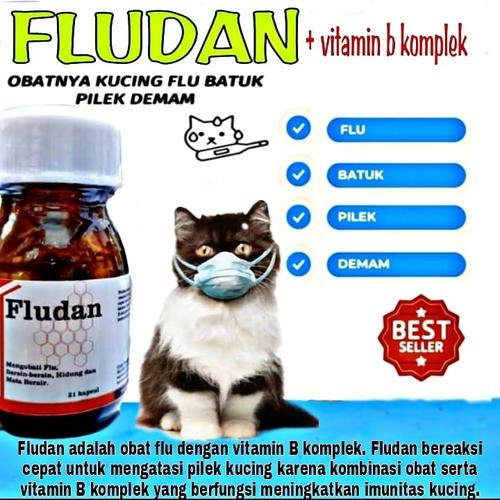 Jual Fludan capsul obat flu dan pilek kucing - Jakarta Selatan - zona ...