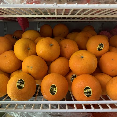 Jual Jeruk mandarin wokam / jeruk wokam / jeruk wogan - 500 gram ...