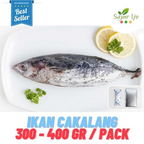 Promo Ikan Cakalang 300 - 400 Gram / Pack Fresh Frozen Daging Seafood ...