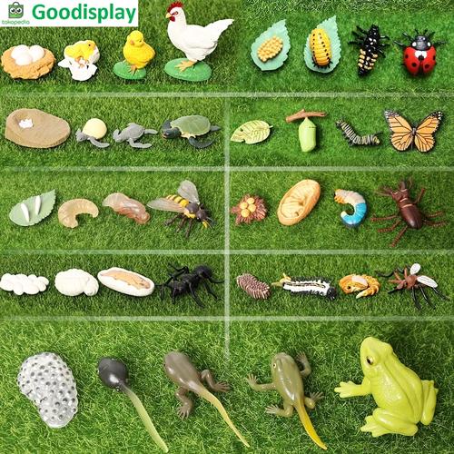 Jual aneka mainan edukasi siklus hidup hewan animal life cycle - Lebah ...