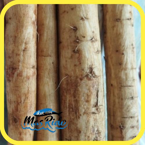 Promo Gobo Jepang Burdock Root Akar Gobo Ketela Jepang Untuk Kesehatan ...