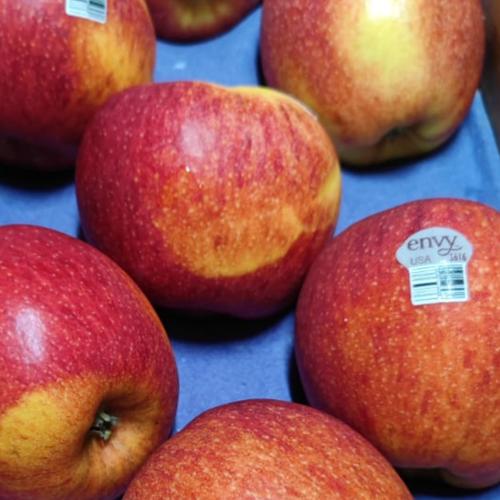 Jual buah apel envy usa new zealand premium jumbo besar garing manis ...