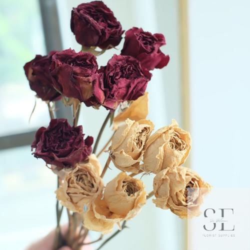 Jual Dried flower rose | Bunga mawar kering | Bunga kering - Putih ...