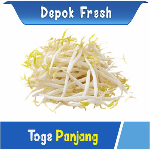 Jual TAUGE |TOGE JEPANG | CAMBAH PANJANG SEGAR - Toge Biasa - Kota ...