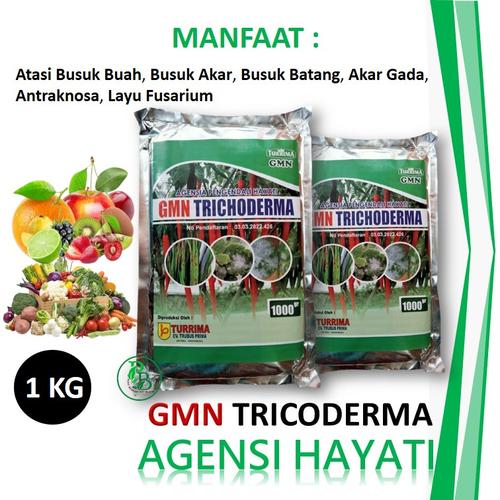 Jual Pupuk tricoderma akar, Fungisida hayati trichoderma harzianum Jember - Kab. Kebumen ...
