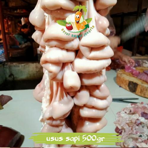 Jual iso / usus sapi lokal fresh segar 1kg - 500 - Jakarta Selatan ...