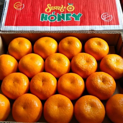 Jual Jeruk Honey Murcot 1 Kg - Jakarta Barat - ALFIAH SMART | Tokopedia