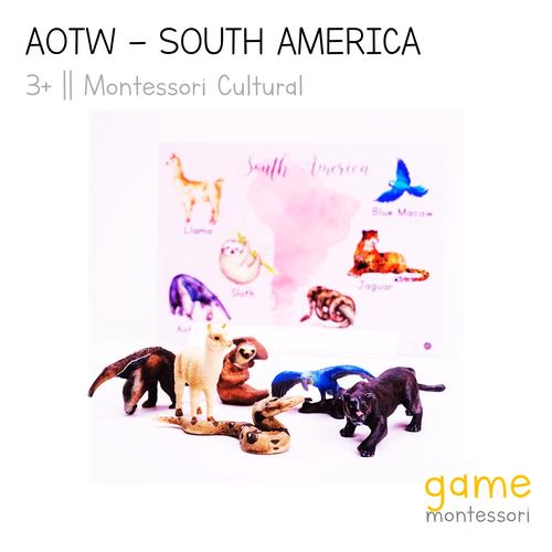 Jual Montessori Cultural Around the World South America set - Kab ...