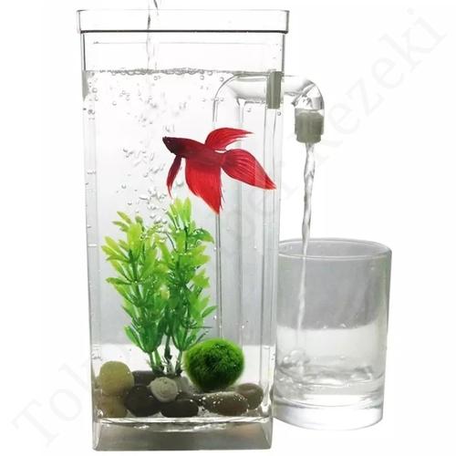 Jual Aquarium Kotak Self Clean Tangki Fish Box Akuarium Ikan Bersih ...
