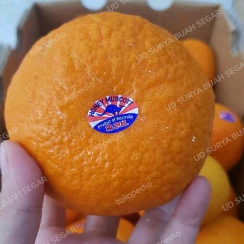Jual jeruk honey murcot 1kg - Jakarta Barat - UD SURYA BUAH SEGAR ...