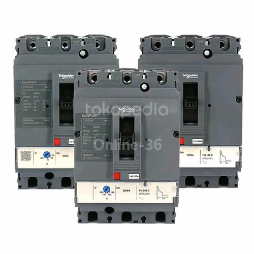 Jual MCCB CVS 100F 3P 100A LV510337 TM100D 36 ka Schneider - Jakarta ...