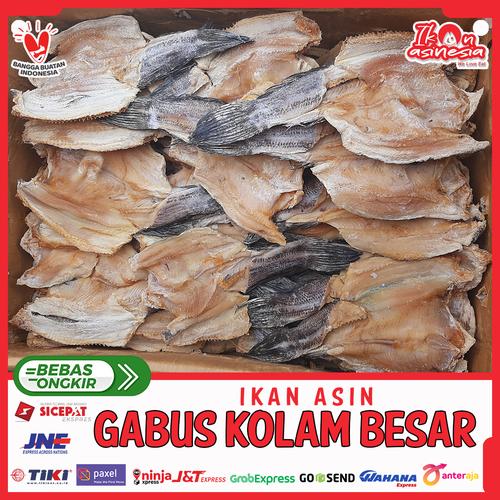 Jual Ikan Asin Gabus Besar Daging Tebal - Gabus Kolam Kering 500 gr ...