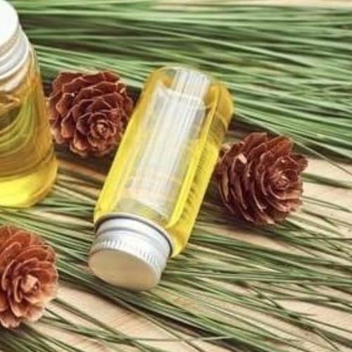Jual Pine Oil (500ml)/Minyak Pinus - Kab. Bantul - Gudang Kimia Jogja ...