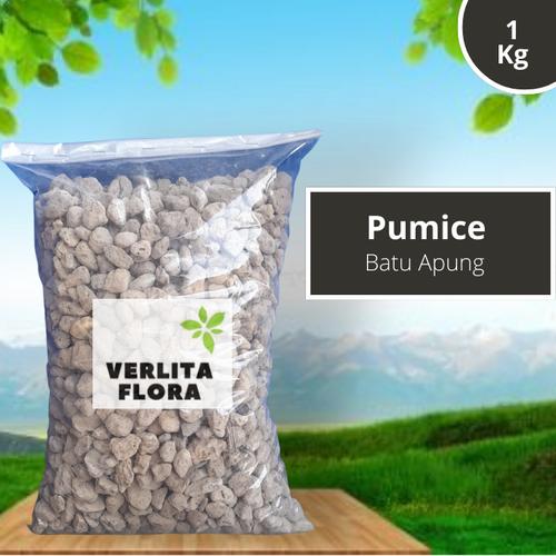 Jual Media Tanam Pumice Batu Apung 1Kg - 2cm - 3cm - Kota Depok ...