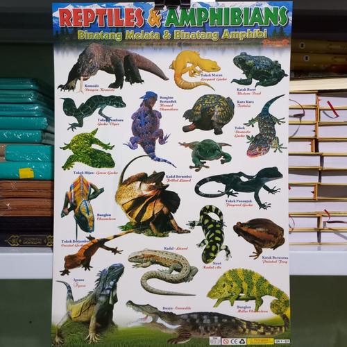 Jual Poster Edukasi Binatang Hewan Reptil Amfibi Reptile Amphibi - Kab. Boyolali ...