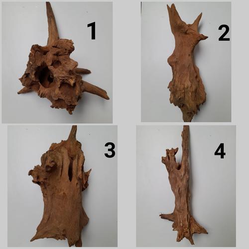 Jual Kayu Fosil untuk Aquascape Aquarium - Kab. Sukoharjo - Solo Parrot ...