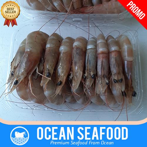 Jual Udang Jerbung Segar/Udang Api/Udang Segar 40-50 Ekor/Udang Fresh ...