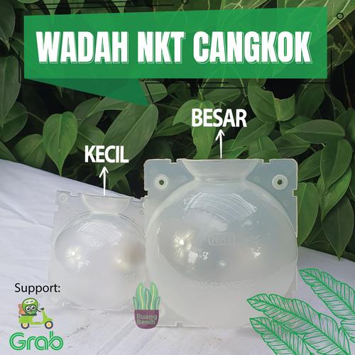 Jual Tempat Pot Wadah Box Media Cangkok Alat Bantu Cangkok Tanaman Buah ...