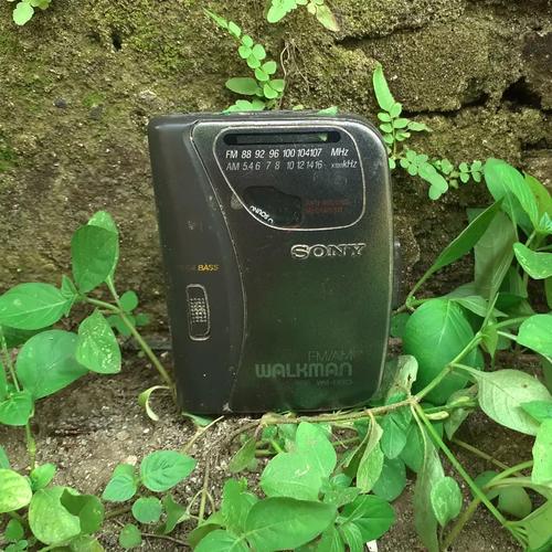 Jual Walkman Sony wm fx 123 - Kab. Tegal - ELIMINATED STORE | Tokopedia