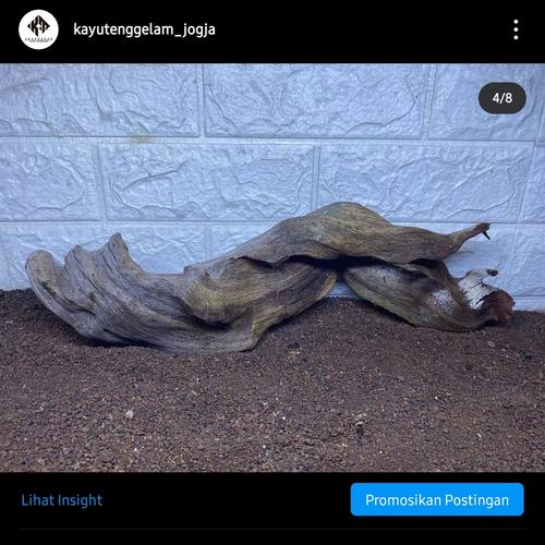Jual kayu santigi akar santigi sentigi murah aquascape paludarium chana ...