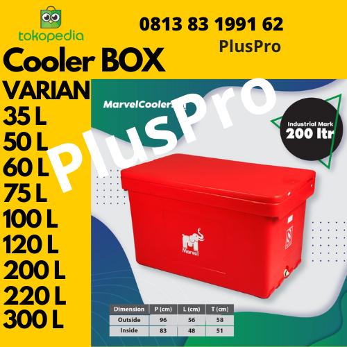 Jual Cooler box Besar 100 200 300 400 500 600 L cool coolbox TANPA ...