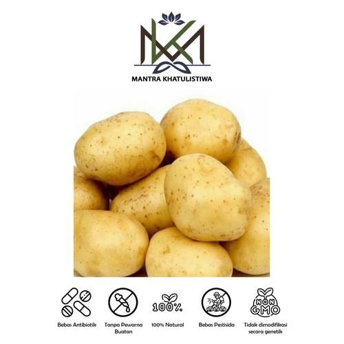 Jual Kentang Dieng Super (Besar), Kentang Rendang - Kentang Rendang, 1/ ...