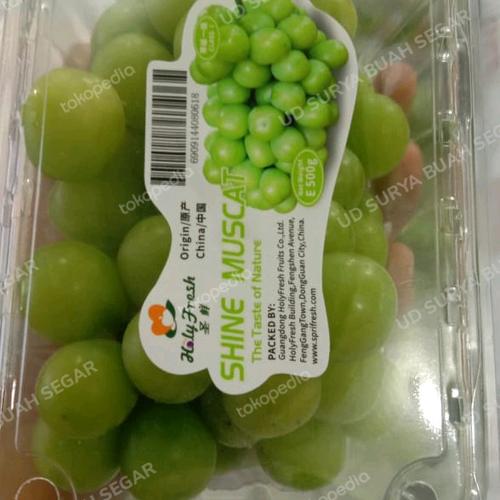 Jual buah anggur shine muscat fresh/pack - Jakarta Barat - UD SURYA ...