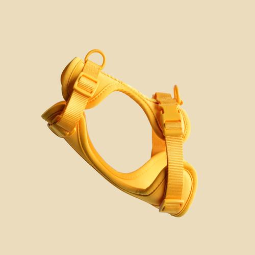 Jual DOUGIE Premium Dog Harness (CHEDDAR YELLOW) - XS - Jakarta Utara ...