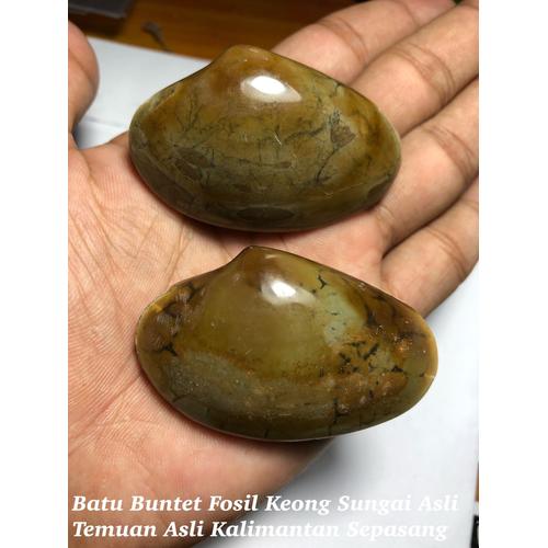 Jual Batu Buntet Keong Sungai Asli Temuan Sepasang - Kab. Banjar ...