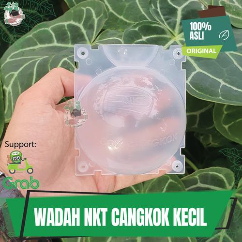 Jual Tempat Pot Wadah Media Tanam Cangkok Mencangkok Tanaman Batang ...