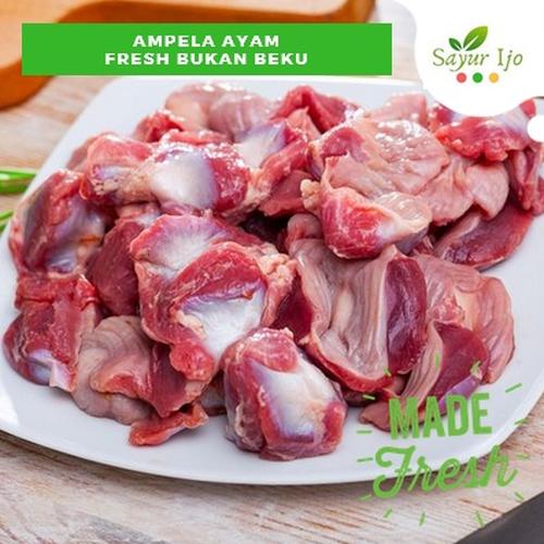 Promo Ampela Ayam 230-250 Gr Fresh Frozen Chicken Gizzard Daging Beku ...