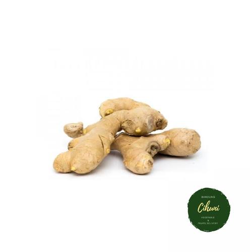 Jual jahe gajah besar - Kota Bandung - cihuni bandung | Tokopedia