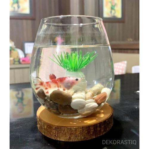 Promo AQUARIUM IKAN HIAS MINI TANK CUPANG AKUARIUM GUPPY AQUASCAPE UNIK ...