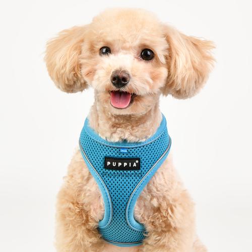 Jual Puppia Soft Harness PRO Sky Blue - Dog Cat Tali Tuntun Anjing ...