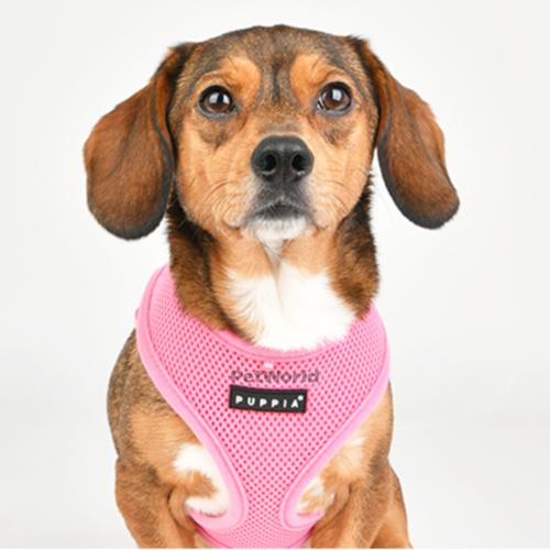 Jual Puppia Soft Harness E Pink - Dog Cat Tali Tuntun Anjing Kucing ...