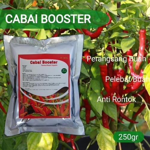 Jual Booster Cabai Pelebat Buah Organik Pupuk Cabe Agar Cepat Berbuah Lebat - Jakarta Utara ...