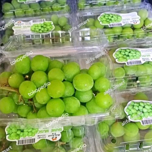Jual Buah Anggur Muscat 1 Pack - Jakarta Barat - alifa smart | Tokopedia