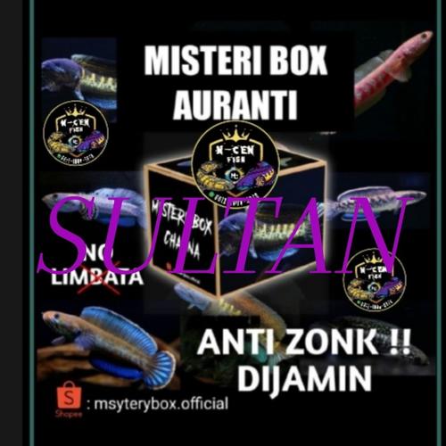 Jual MISTERI BOX CHANNA SULTAN AURANTI YS MARU BUNGA PULCRA DAN LAIN ...