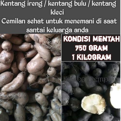 Jual Kentang ireng kentang bulu kentang kleci kentang hitam 1 kg - Kab ...