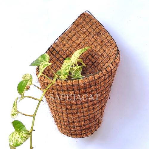 Jual Pot Anggrek D.20 Jumbo Polos Tempel Dinding - Pot Sabut Kelapa ...