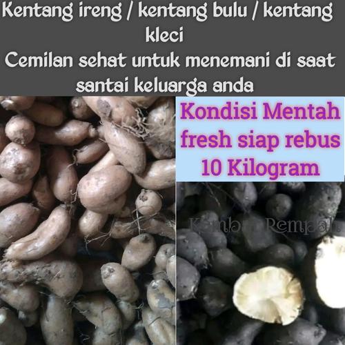 Jual Kentang hitam kentang ireng kentang kleci kentang bulu 10 kg - M ...