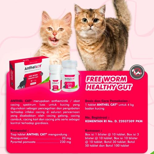 Jual Obat Cacing Kucing Kalbe Farma blister -Anthel cat 30 table ...